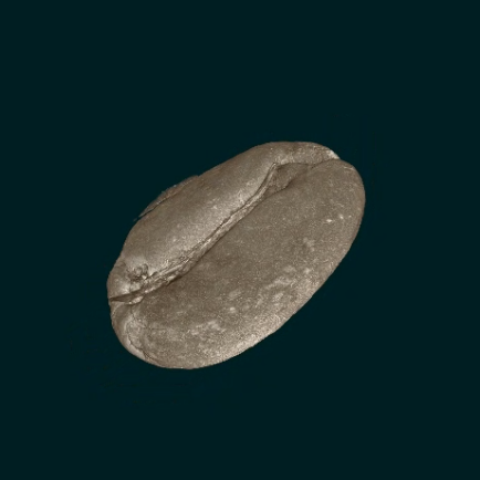 Coffee bean | NeoScan