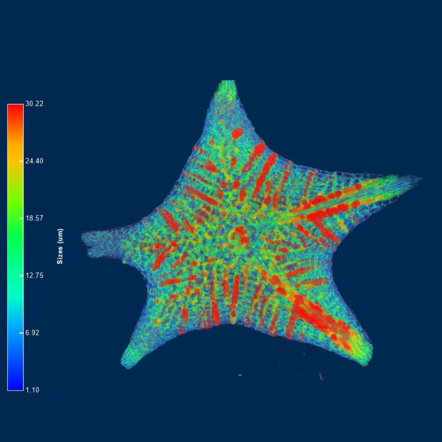 NeoScan N90, world's first benchtop nano-CT.